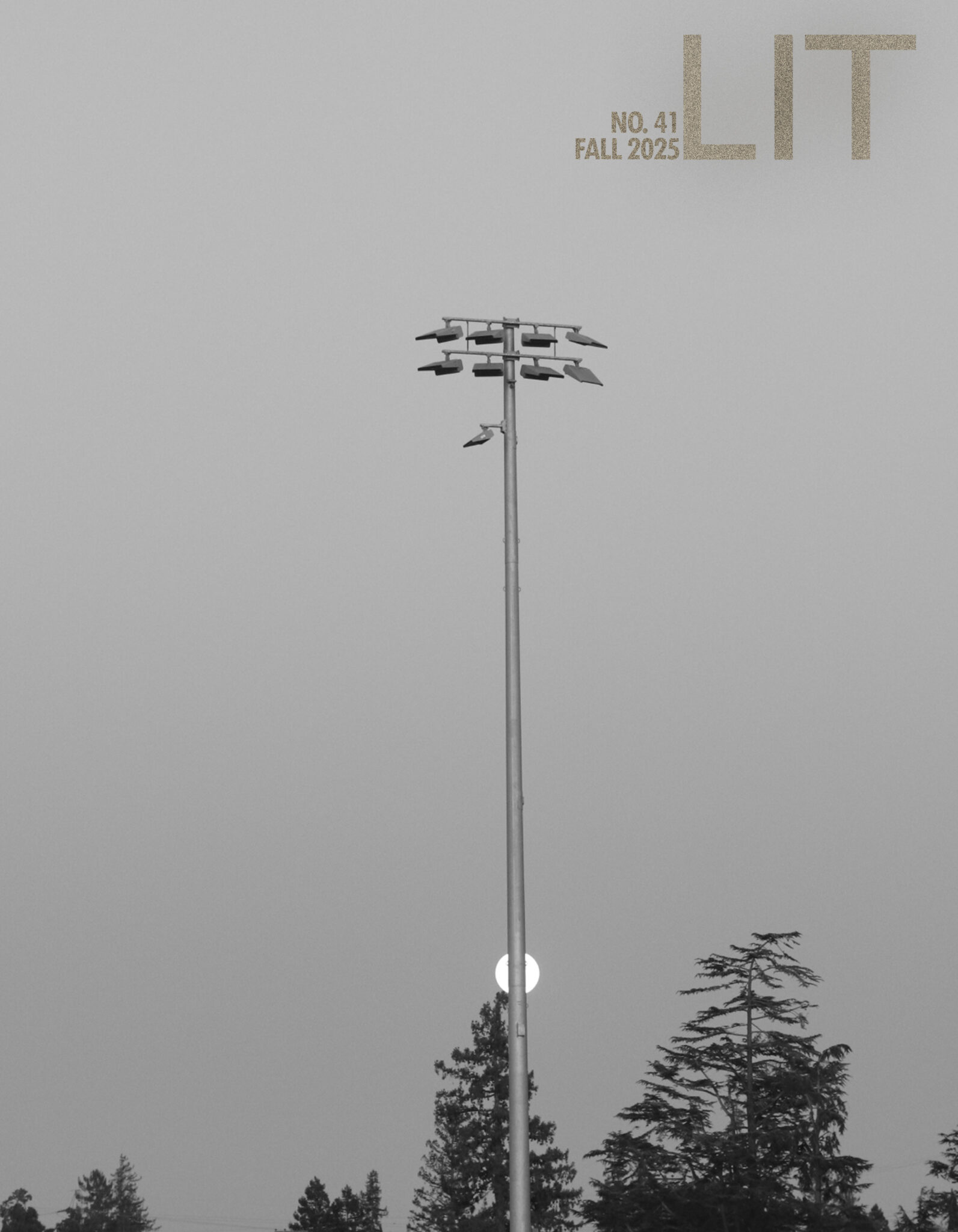 LIT – The Journal of The New School Master of Fine Arts in Creative ...